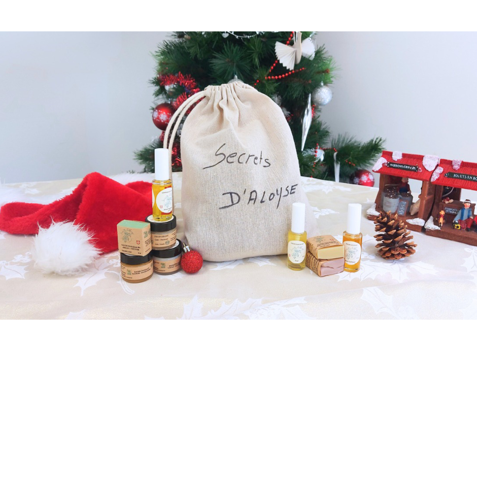 Les secrets d'Aloyse - Solucir